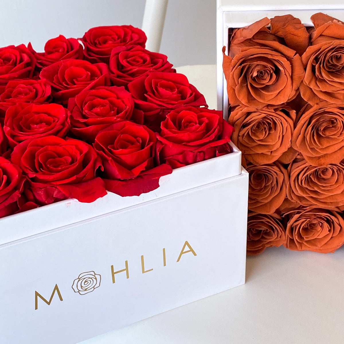 SCARLETT BOX – MOHLIA